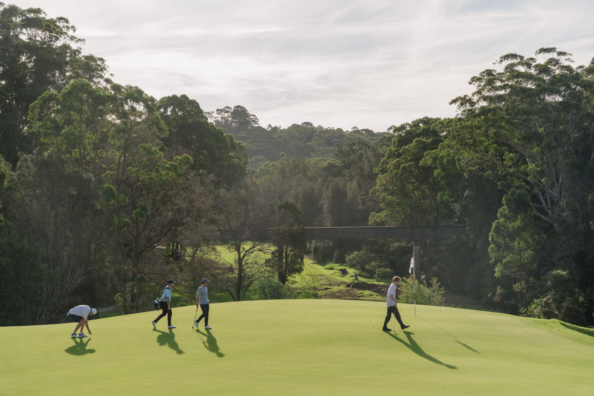 The Course | Newgreens Chatswood